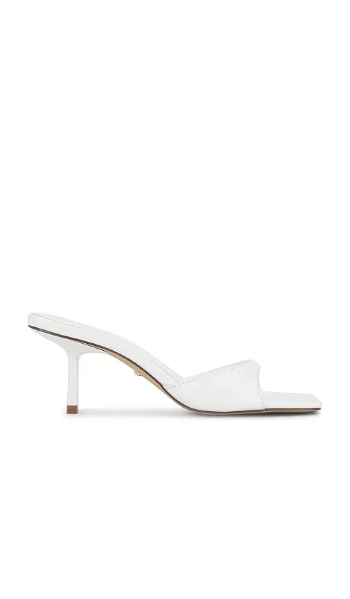 Raye Jocey Mule
