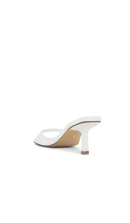 Raye Jocey Mule