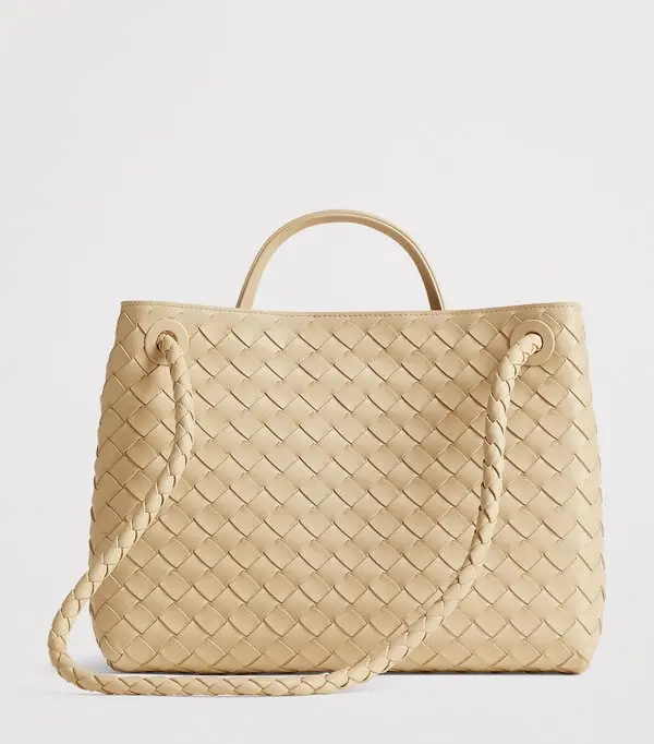 Bottega Veneta Medium Leather Andiamo Shoulder Bag - Neutral