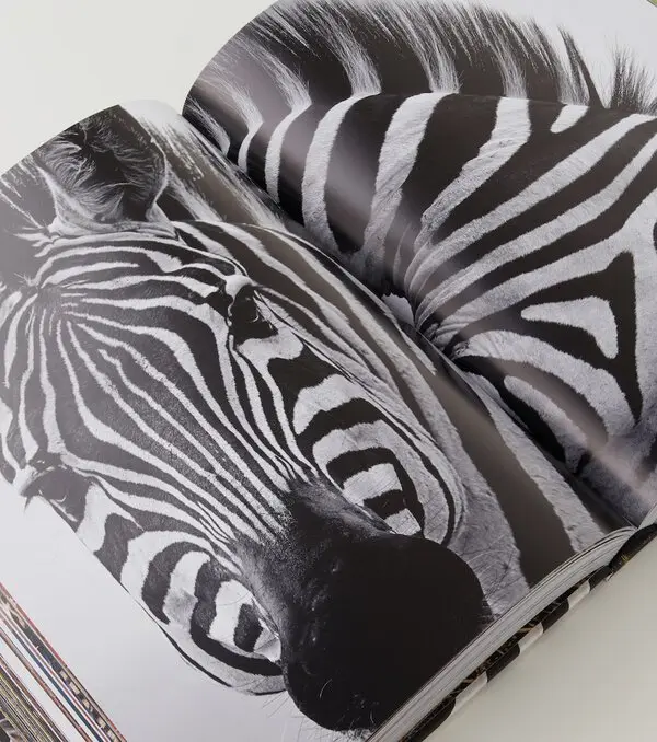 Assouline African Adventures Book - Multicoloured