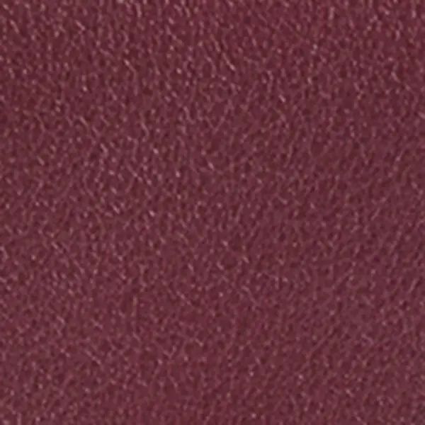 Balenciaga Calfskin Rodeo Card Holder - Red