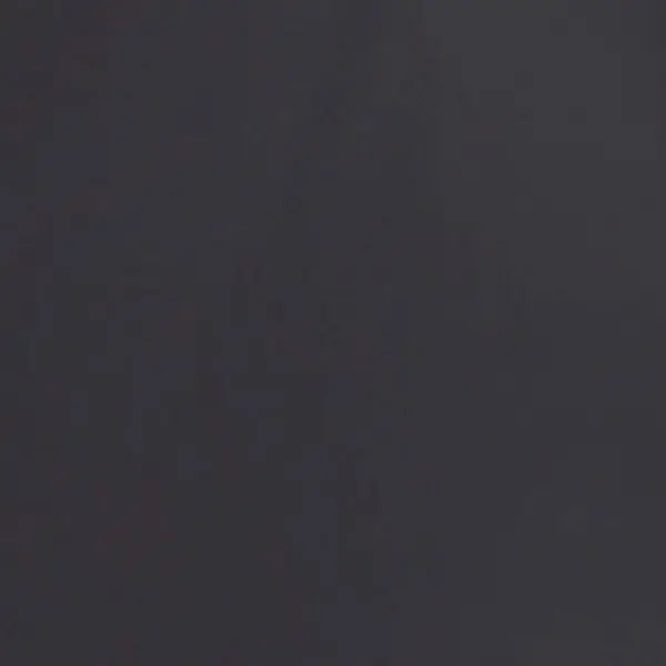 Moncler Logo Swim Shorts