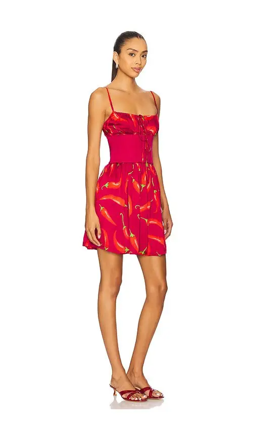 LESLIE AMON Printed Slip Corset Mini Dress