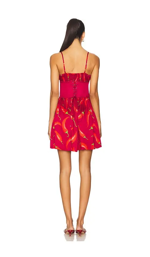 LESLIE AMON Printed Slip Corset Mini Dress