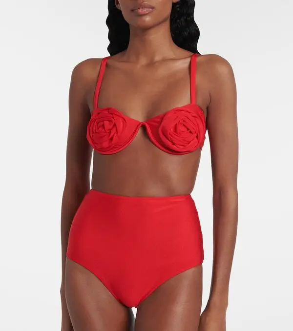ADRIANA DEGREAS Floral Appliqué Bikini