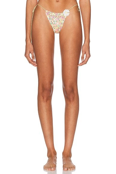 BANANHOT Orca Bikini Bottom - Blossom
