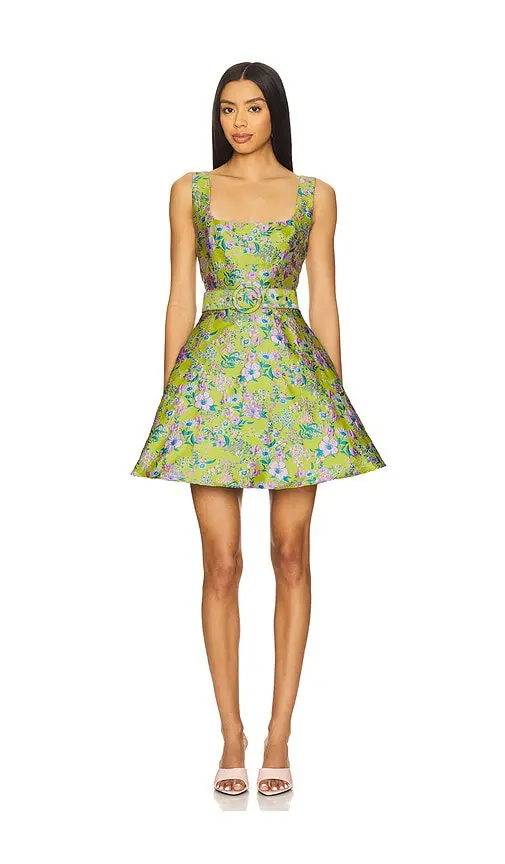 ELLIATT Zenobia Mini Dress - Multi