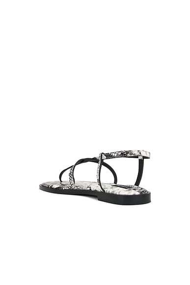 A.emery Remly Flat Sandal - Eggshell Snake
