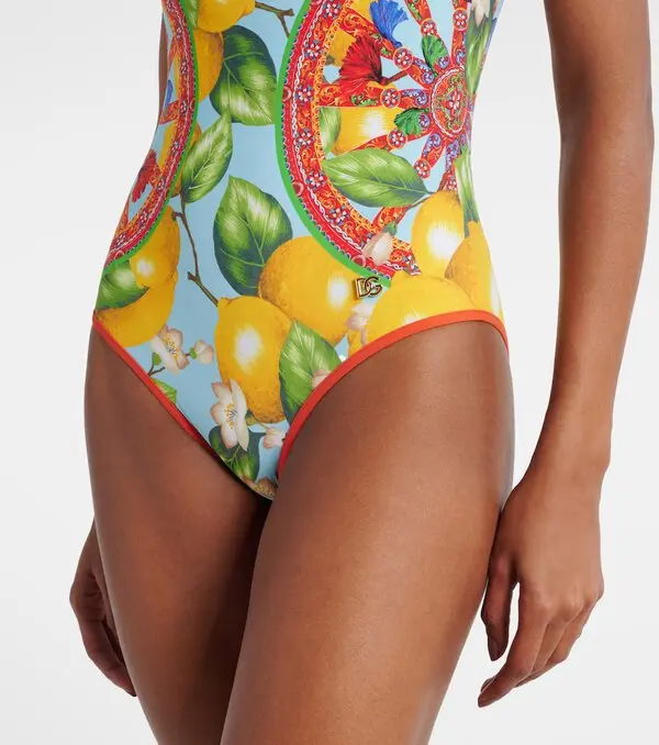 Dolce & Gabbana Printed One-piece Swimsuit