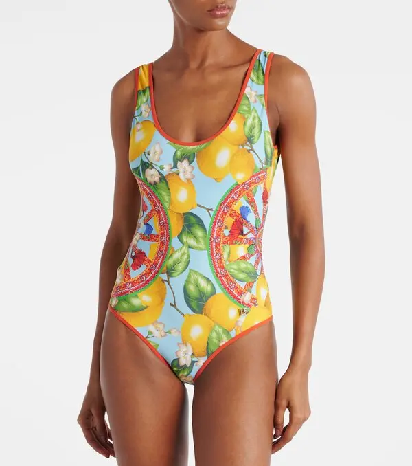 Dolce & Gabbana Printed One-piece Swimsuit