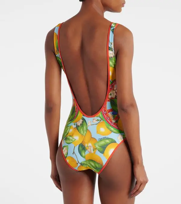 Dolce & Gabbana Printed One-piece Swimsuit