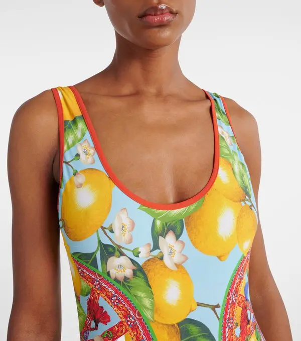 Dolce & Gabbana Printed One-piece Swimsuit