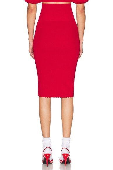 HELSA Luella Midi Skirt