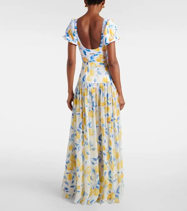 ALEXANDRA MIRO Jamie Sheer Maxi Skirt