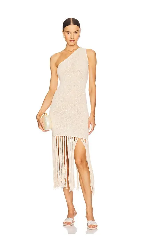 Rails Antonia One Shoulder Dress - Brown