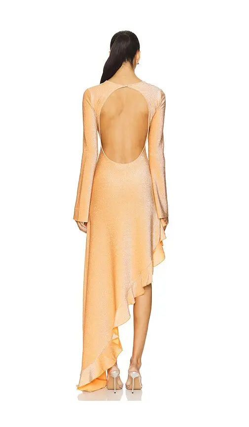 Delfi Rosalia Maxi Dress