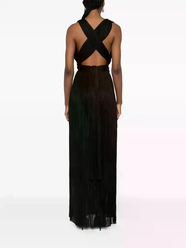 MARIA LUCIA HOHAN Plissé Silk Maxi Dress
