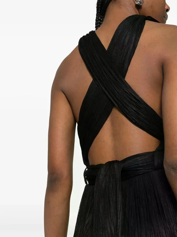 MARIA LUCIA HOHAN Plissé Silk Maxi Dress