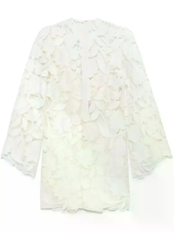 Elie Saab Embroidered Tulle Mini Dress - Neutrals