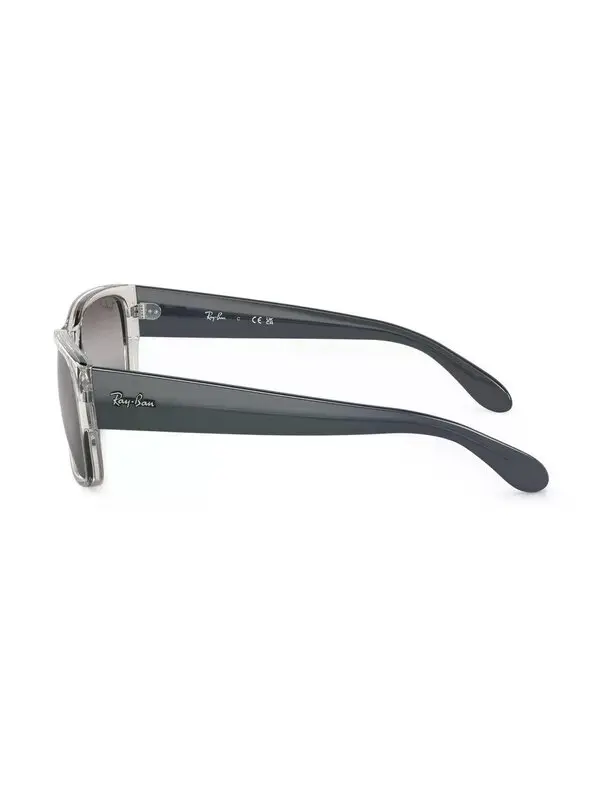 Ray-ban Wayfarer Sunglasses