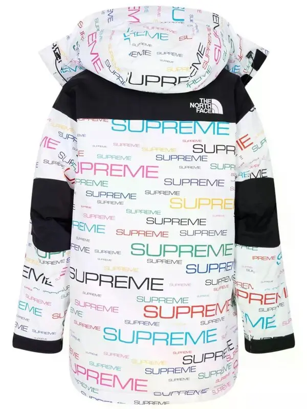 Supreme X The North Face Coldworks 700-fill Down Parka