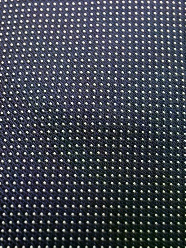 Polo Ralph Lauren Polka Dot Embroidered Neck Tie - Blue
