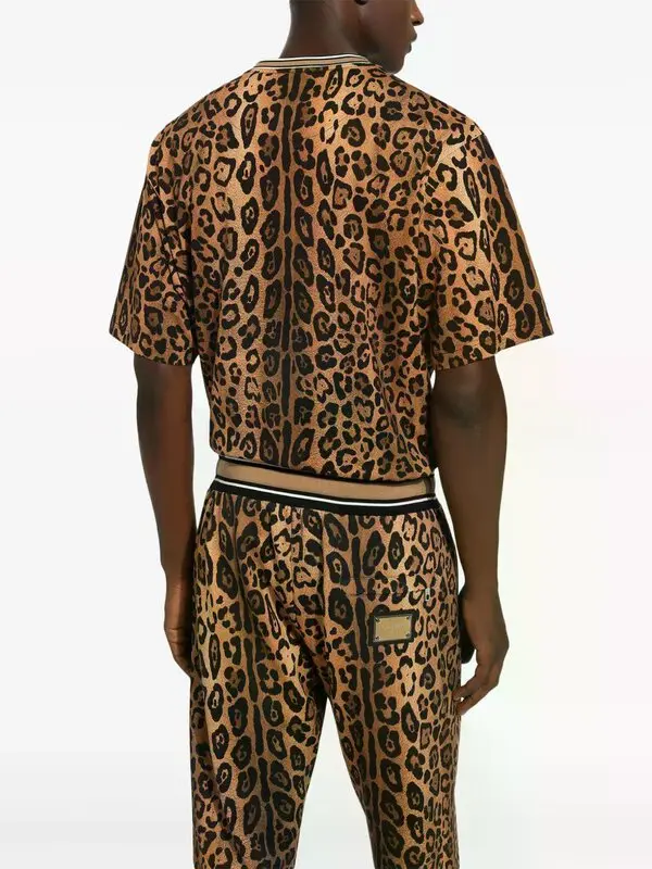 Dolce & Gabbana Leopard-print Cotton T-shirt