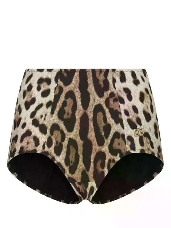 Dolce & Gabbana Leopard-print High-waisted Bikini Bottom - Brown