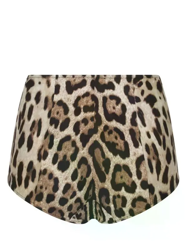 Dolce & Gabbana Leopard-print High-waisted Bikini Bottom - Brown