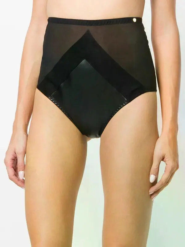 SOMETHING WICKED Ava Briefs
