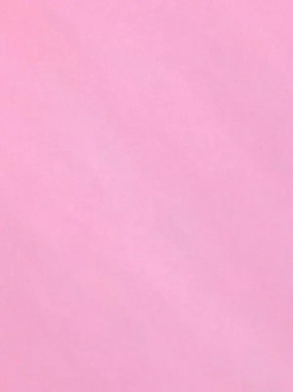 Acne Studios Logo-tag Frayed-edge Scarf - Pink
