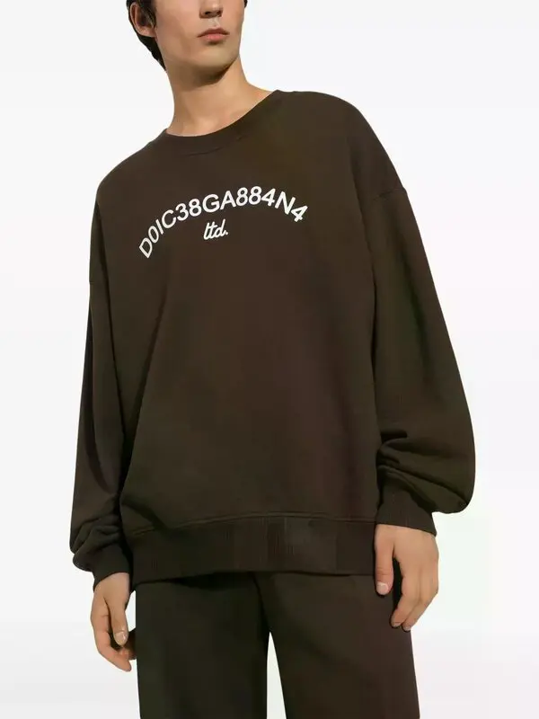 Dolce & Gabbana Logo-print Cotton Sweatshirt - Brown