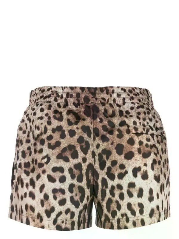 Dolce & Gabbana Logo-plaque Leopard-print Swim Shorts - Black