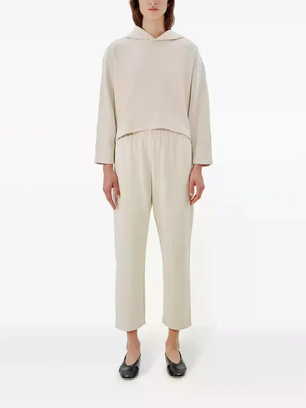 Another Tomorrow Cropped Jersey Hoodie