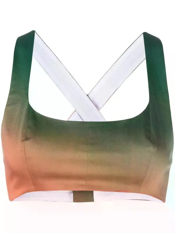 Philosophy Di Lorenzo Serafini Gradient-effect Cropped Top - Brown