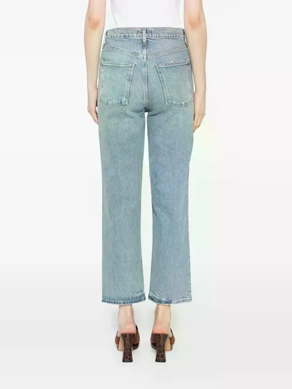 AGOLDE 90's Pinch Waist Crop Jeans