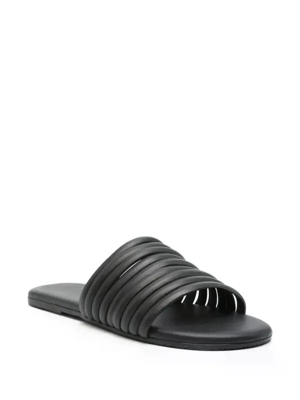 Tkees Caro Slides