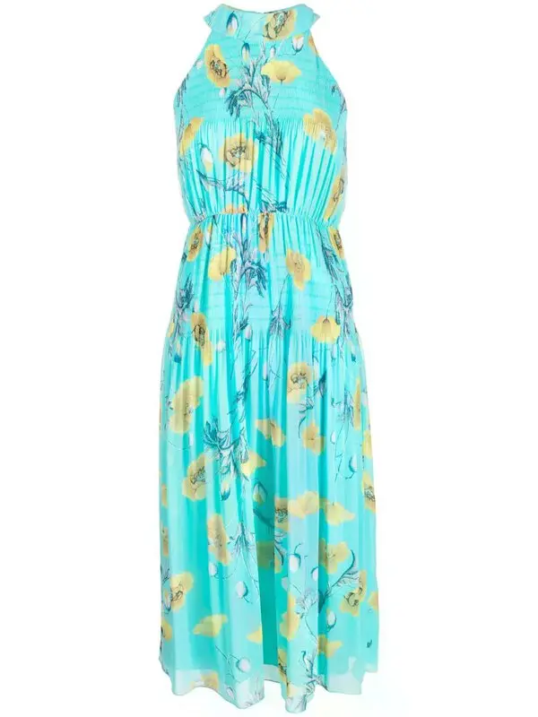 Diane Von Furstenberg Lupin Sleeveless Floral Print Maxi Dress