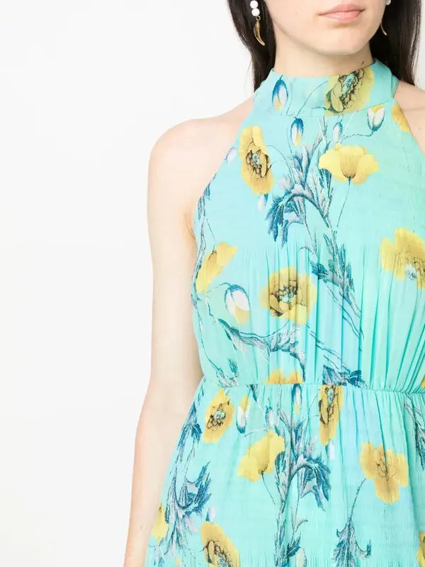 Diane Von Furstenberg Lupin Sleeveless Floral Print Maxi Dress