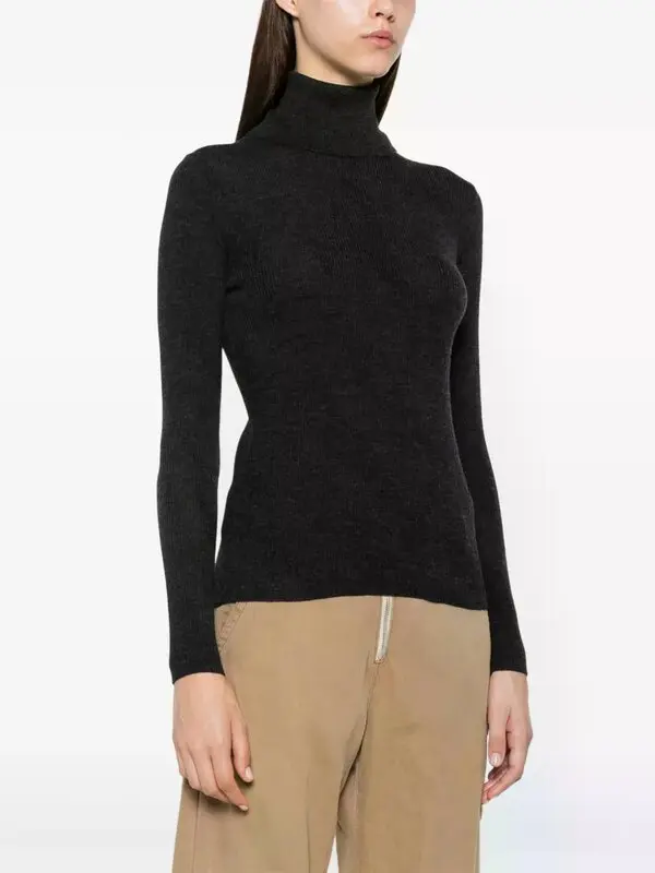 P.a.r.o.s.h Wool Roll Neck Sweater With Seam Detailing