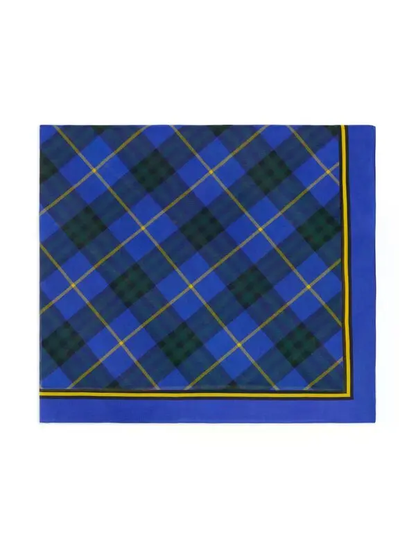 Burberry Checked Cotton Scarf - Blue