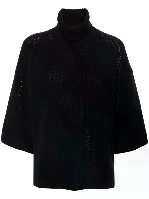 Fabiana Filippi Open-knit Roll Neck Sweater