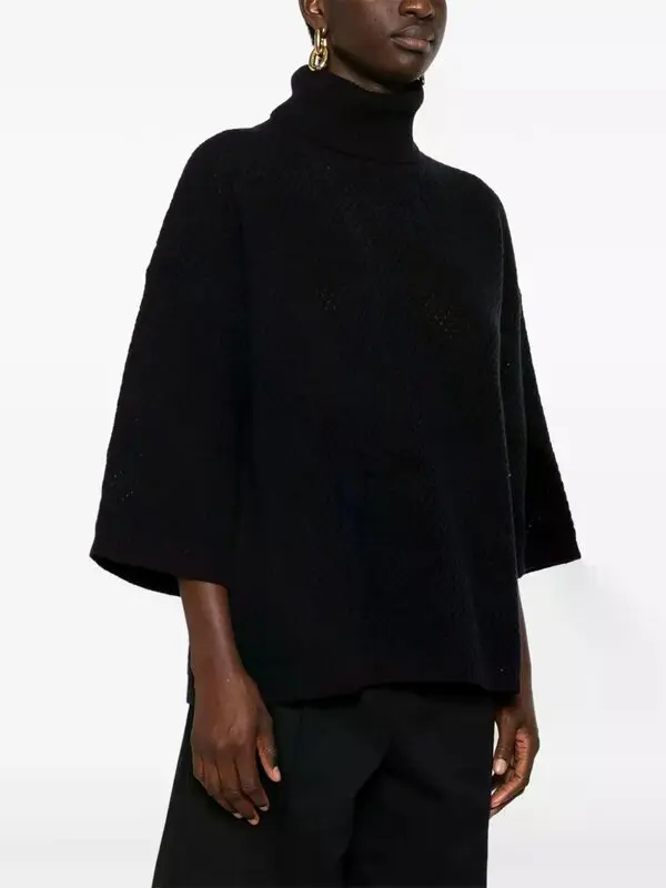 Fabiana Filippi Open-knit Roll Neck Sweater