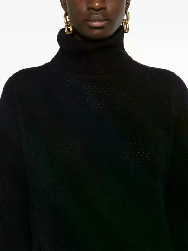 Fabiana Filippi Open-knit Roll Neck Sweater