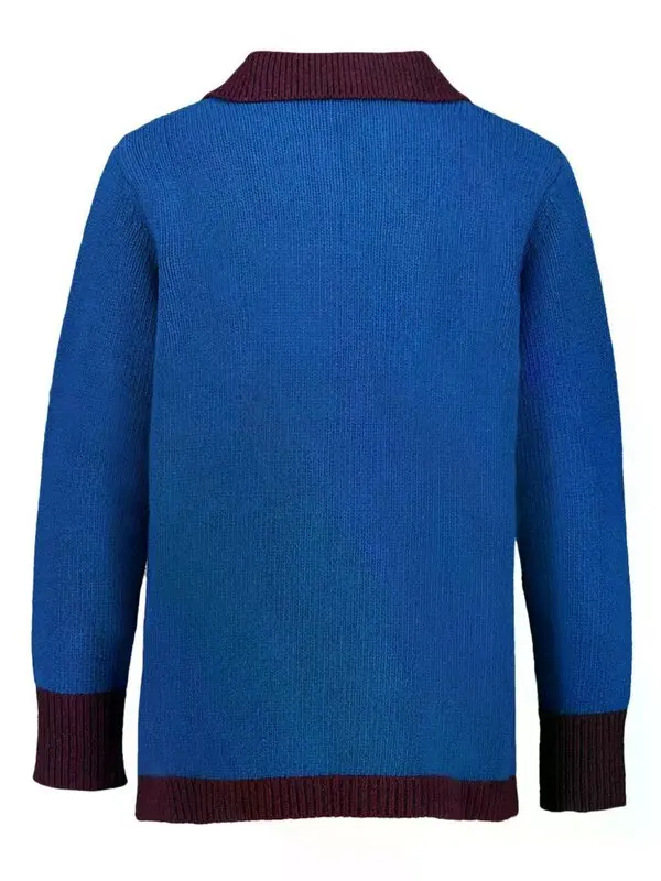 PAULA Embroidered V-neck Sweater