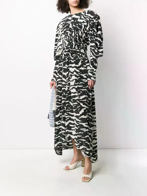 Isabel Marant Étoile Filao Zebra-print Twisted-waist Dress