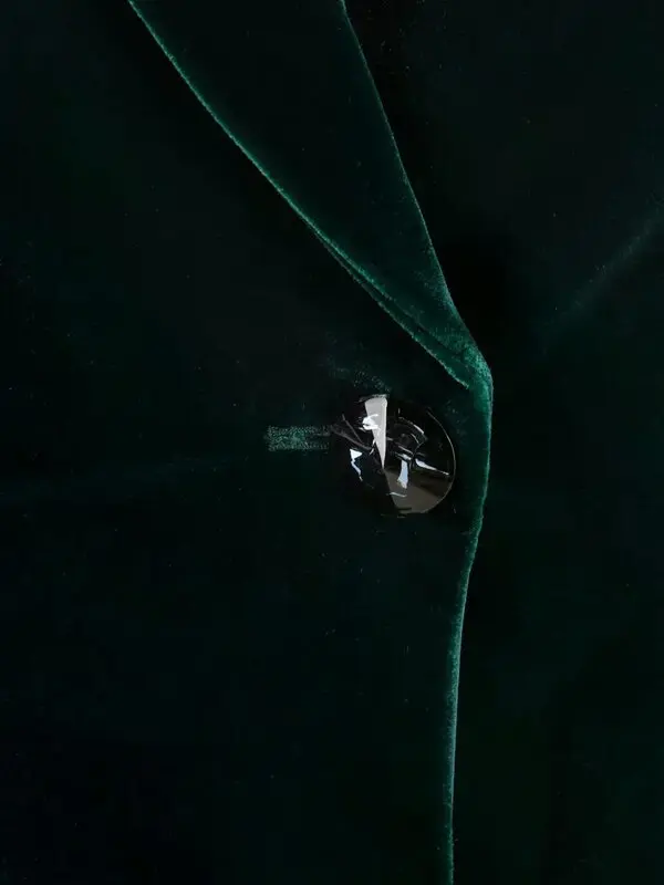 Giorgio Armani Single-breasted Velvet Blazer
