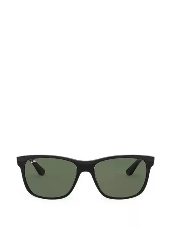 Ray-ban Acetate Rectangle Frame Sunglasses