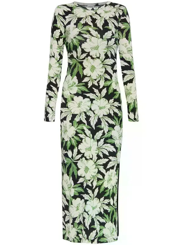 Loewe Silk-blend Floral Print Dress