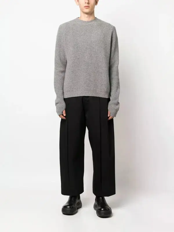 SAGE NATION Box-pleat Wide-leg Trousers